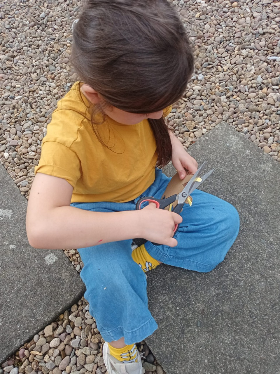 Lets Create - POP UP POP IN